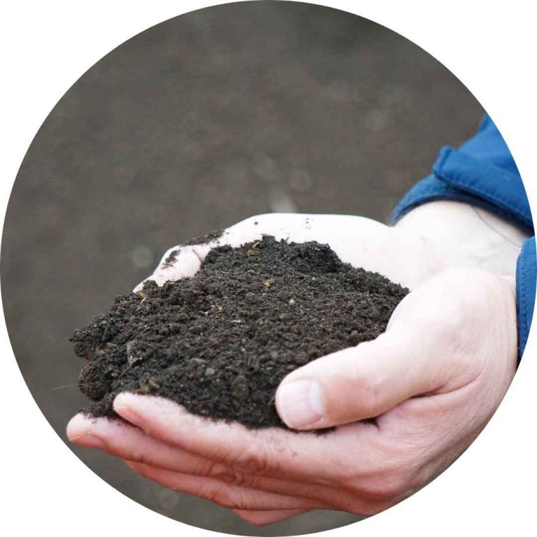 Eco-friendly & Sustainable